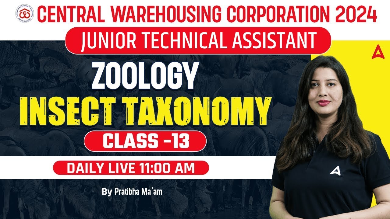 CWC 2024 | Junior Technical Assistant | Zoology | Insect Taxonomy #13 ...