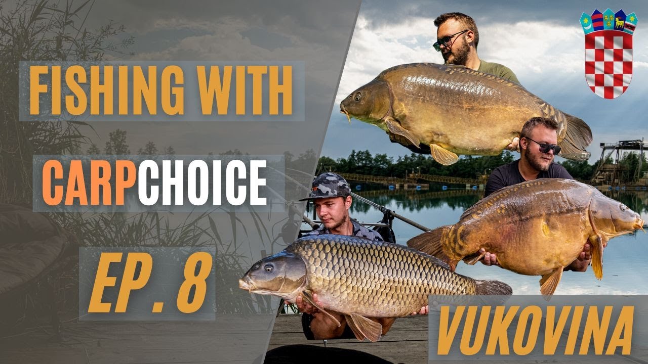 Big summer Carp from lake VUKOVINA (FISHING WITH CARP CHOICE EP.8 ...