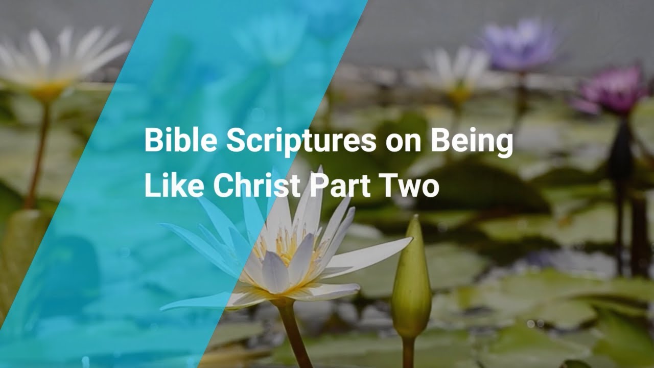 Bible Scriptures on Being Like Christ Part 2 | Living Truth - YouTube