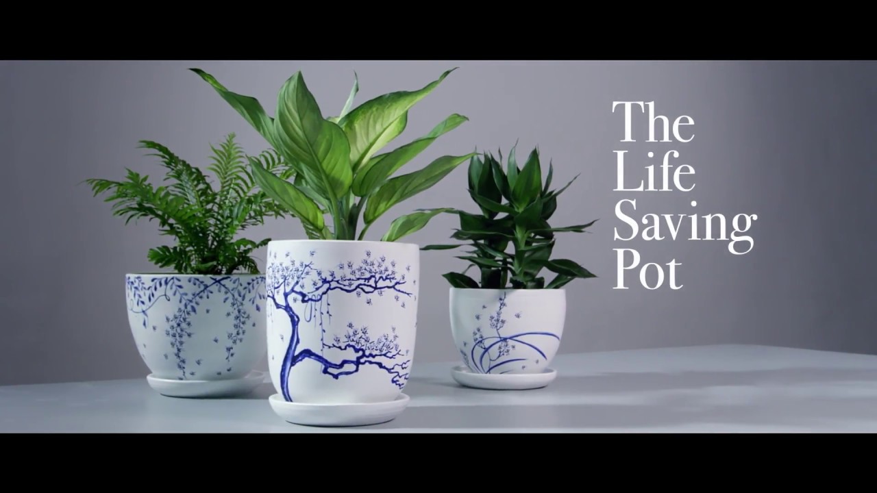 The Life-Saving Pot | Manulife Singapore - YouTube