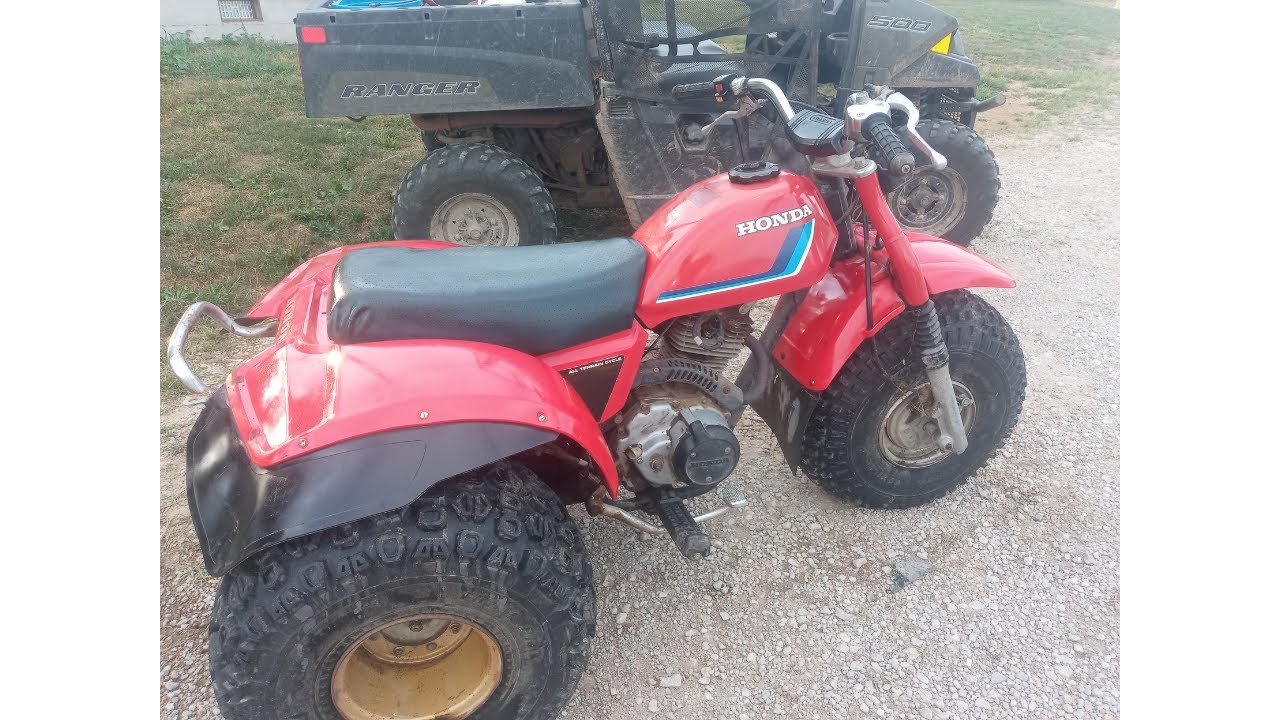 Honda 185 ATC ATV utv 3 wheeler ride with Boxer dogs - YouTube