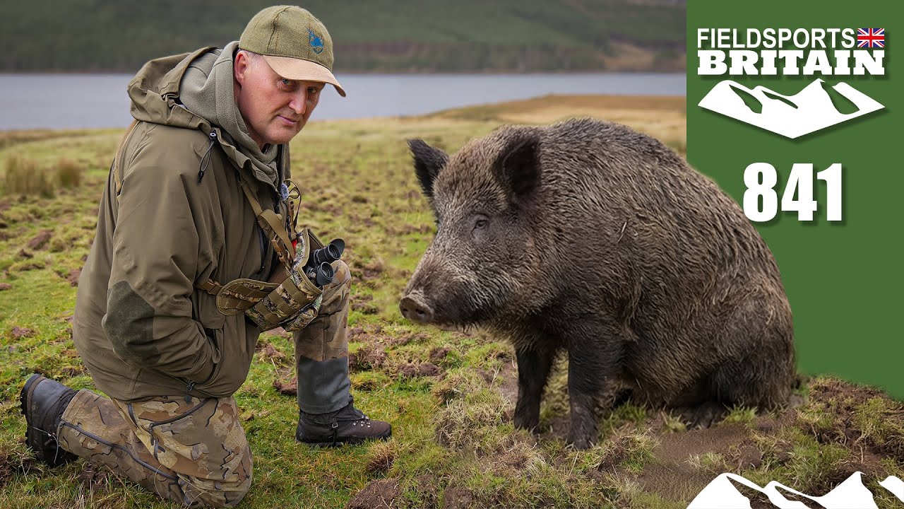 Fieldsports Britain – Hunting Highland hogs - YouTube
