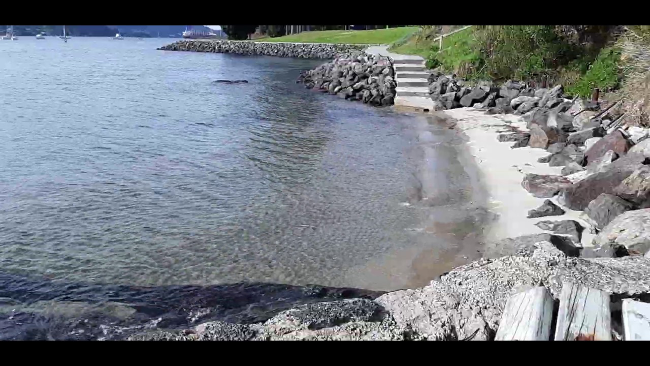 "The Winterless North", Marsden Point, New Zealand - YouTube