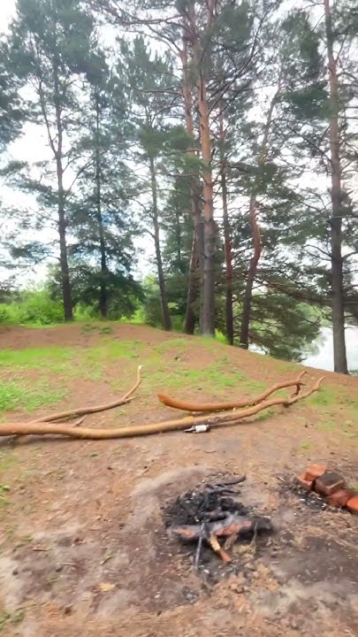 Сибирская красота - YouTube