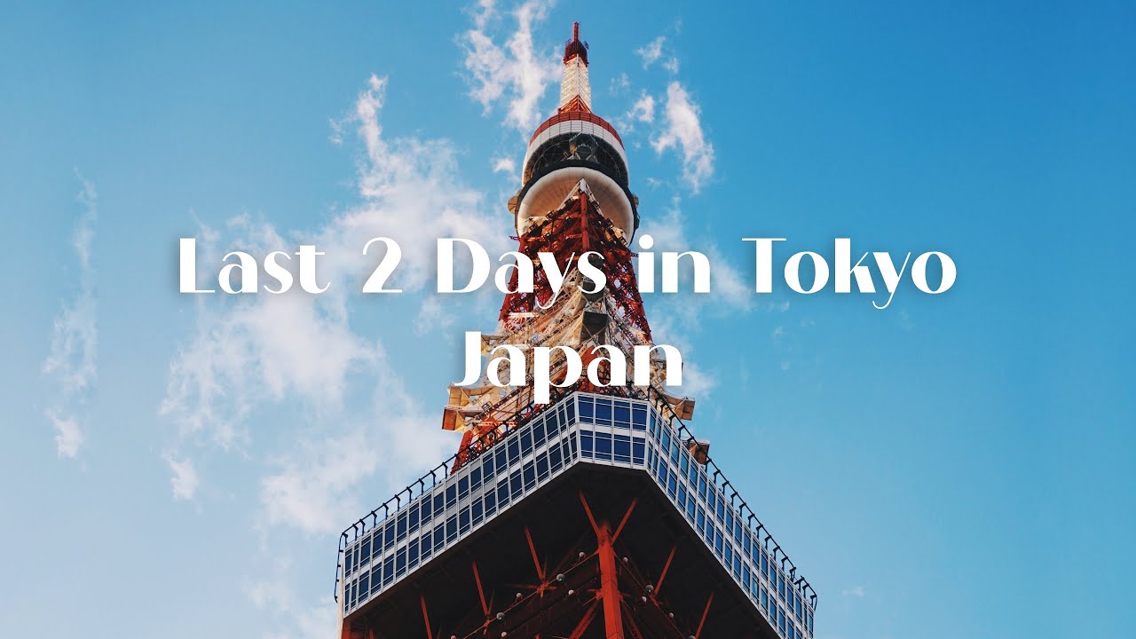 Sad to be Leaving Japan | 13 Days Went Super Fast | Back to Jakarta ...