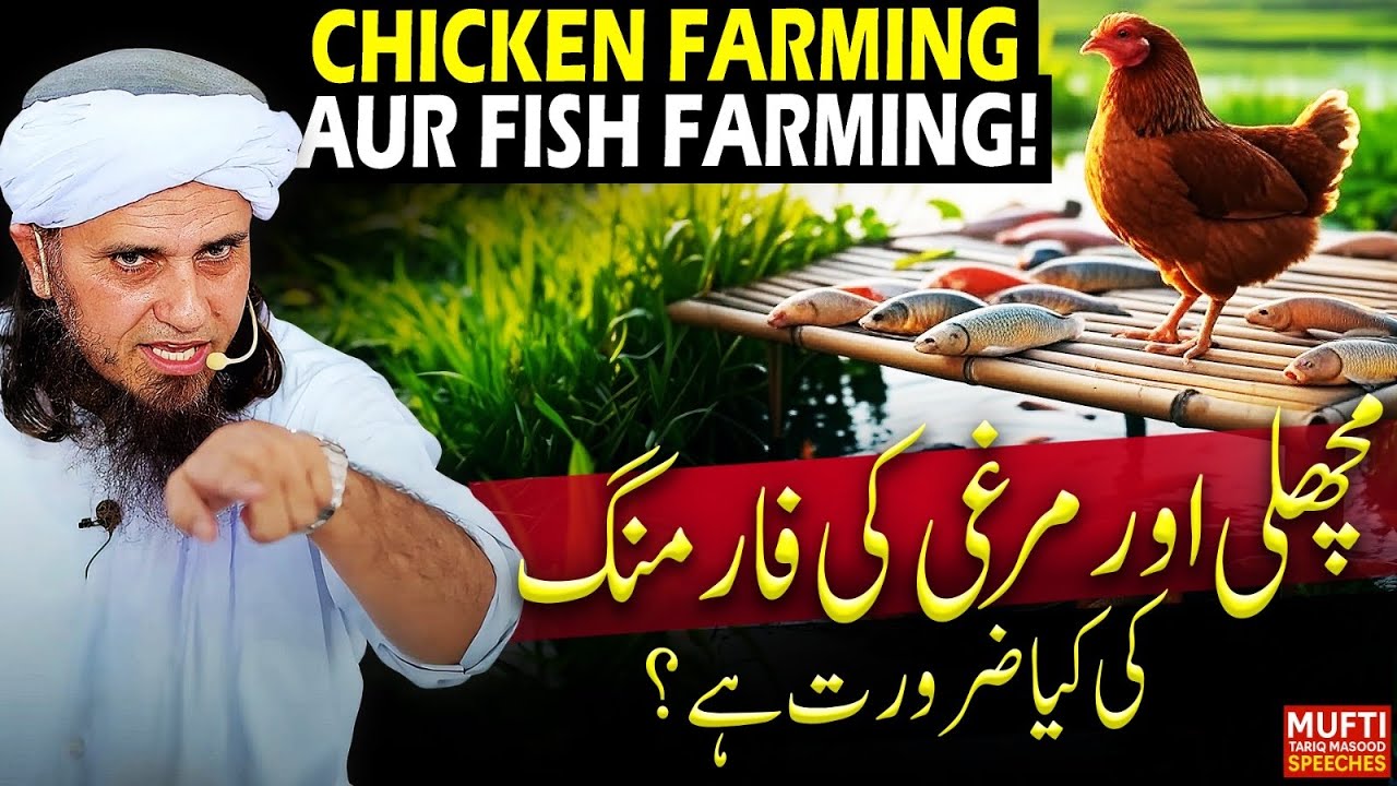 Chicken Farming Aur Fish Farming ! | Mufti Tariq Masood Speeches 🕋 ...