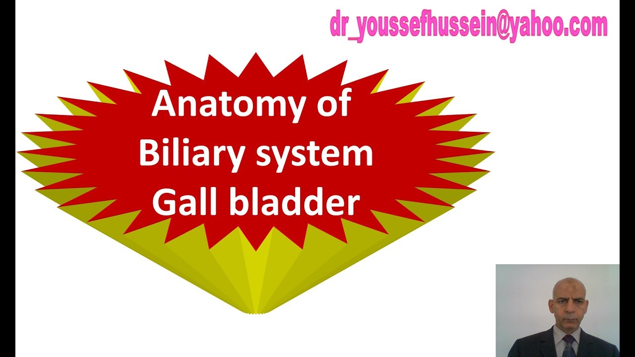 Biliary system | Gall bladder | Heisten's valve | Hartmann's pouch ...