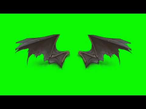 Devil wings Green Screen video