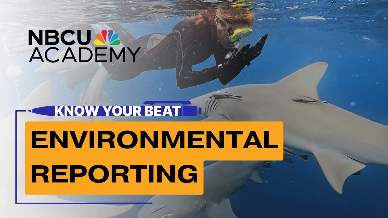 Basics of Environmental Reporting and Climate Change - YouTube