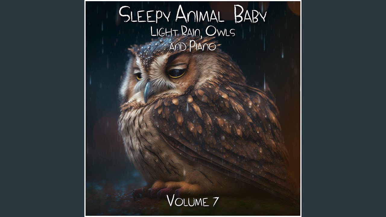 Singing Owls and Serene Piano Pt 5 - YouTube
