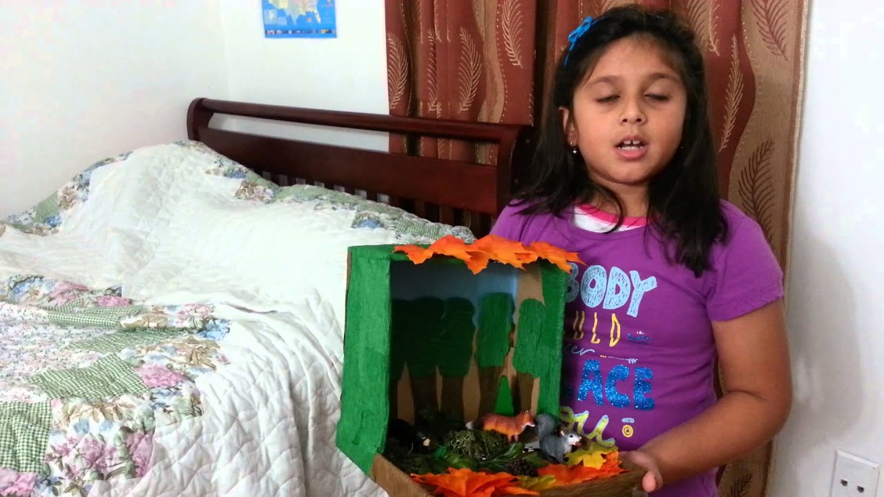 Diorama of deciduous forest for her 2nd grade - YouTube