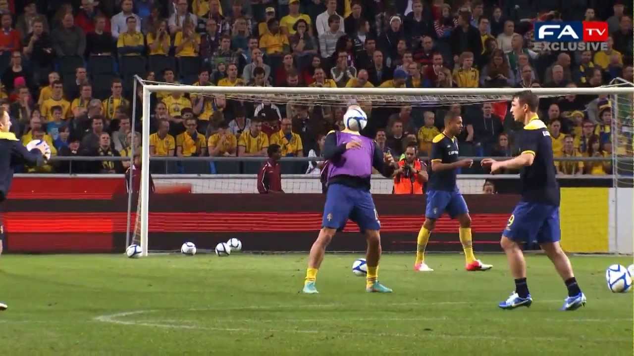 Zlatan Ibrahimovic Goals and Skills 2013 - YouTube