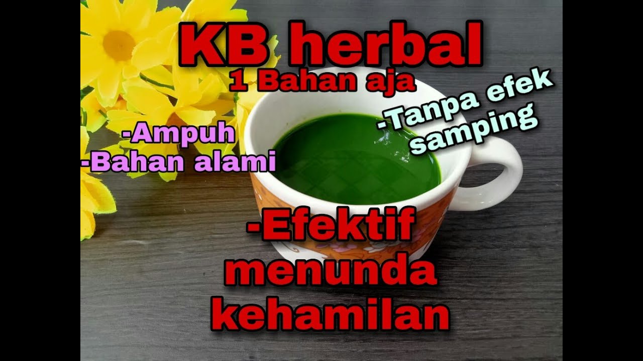 Resep KB alami aman dan ampuh menunda kehamilan - YouTube