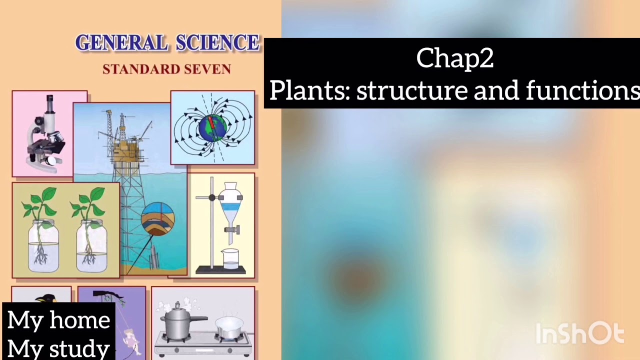 7th Std Science Chapter 2 Solutions YouTube 7th-std-science-chapter-2-solutions-youtube