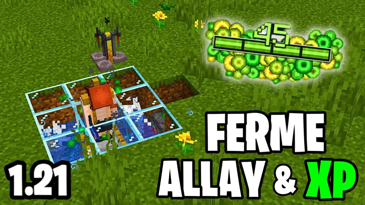 Tutoriel Ferme à XP AVEC ALLAY 1.21 Minecraft Java - YouTube