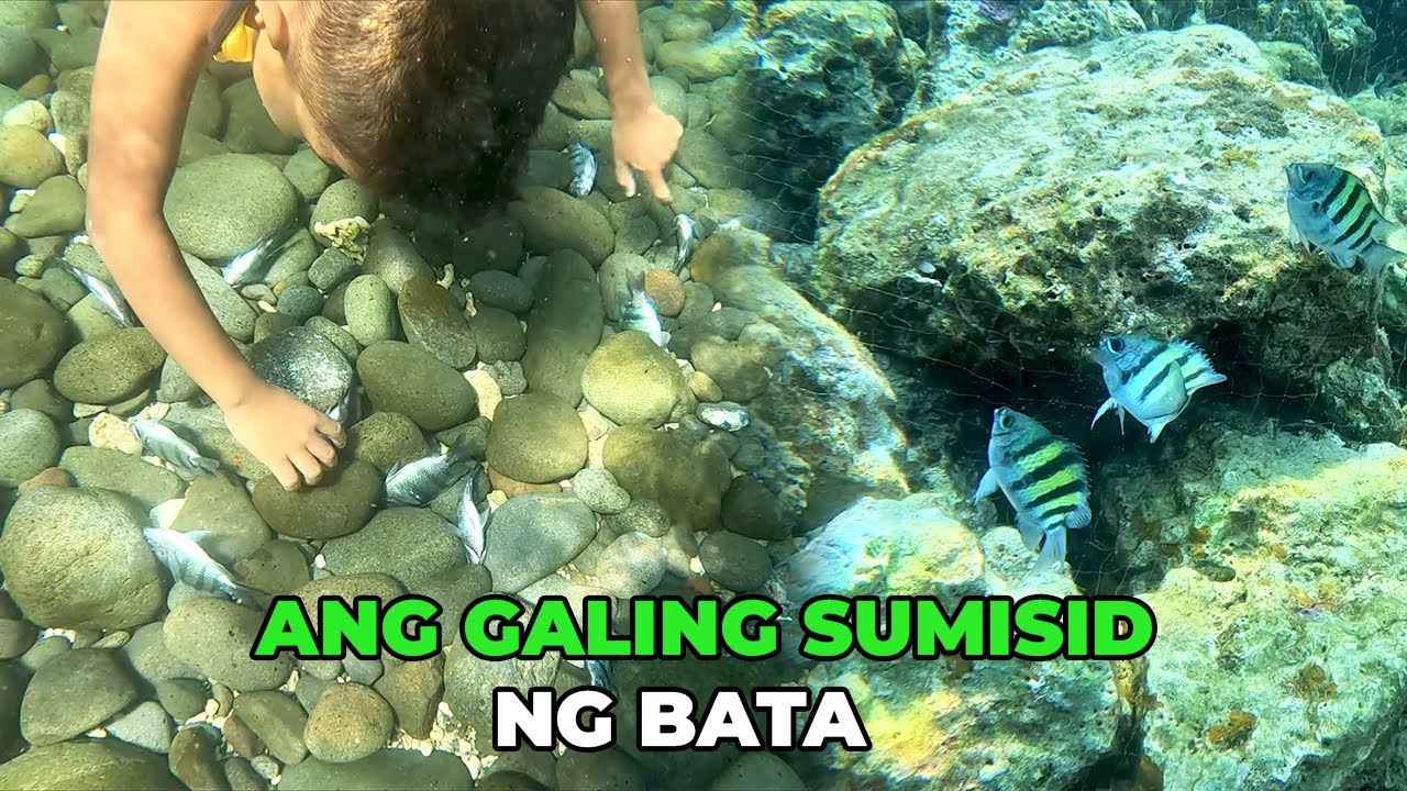 Bata pa Pero Magaling ng Sumisid, Nakarami na Naman Tayo ng Huli ng ...