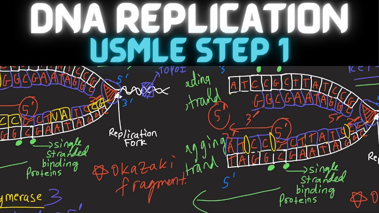 DNA Replication | Biochemistry | USMLE Step 1 - YouTube