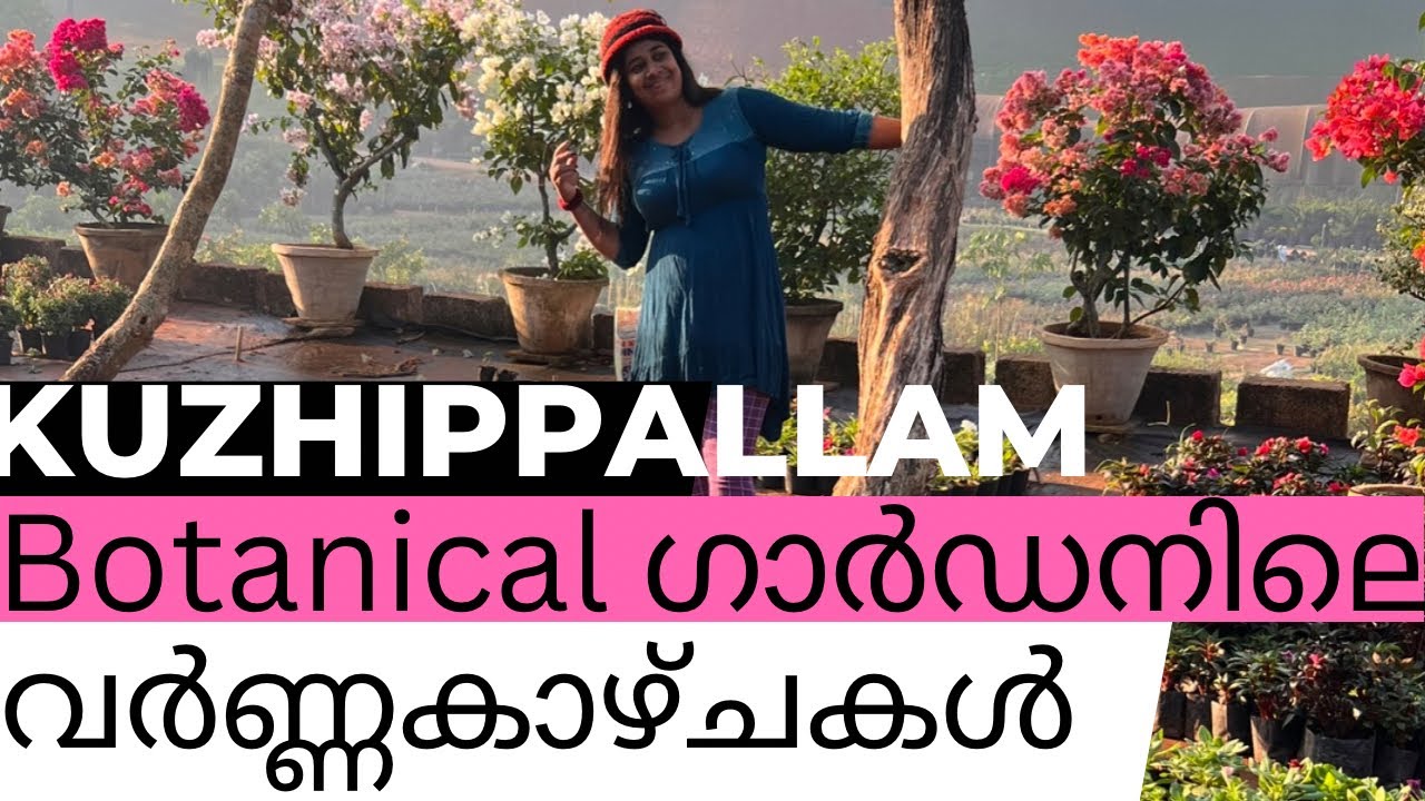 കുഴിപ്പള്ളം ബൊട്ടാണിക്കൽ ഗാര്ഡഡനിലെ വർണ കാഴ്ചകൾ / Kuzhippallam ...