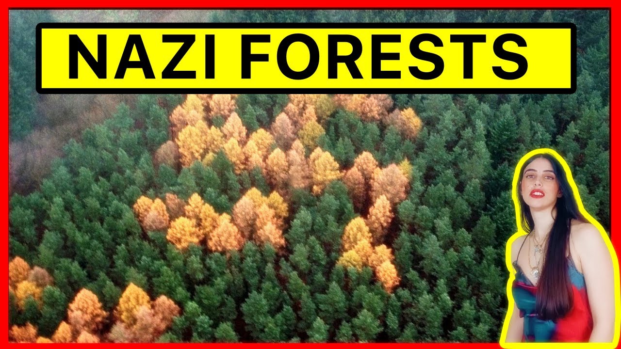 Nazi Forest || saberpedia - YouTube