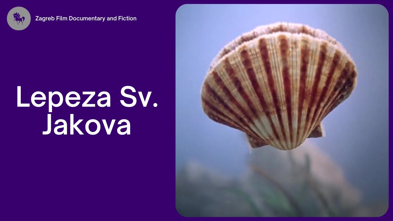 Lepeza Sv. Jakova (Branko M. Marjanović, 1975.) dokumentarni - YouTube