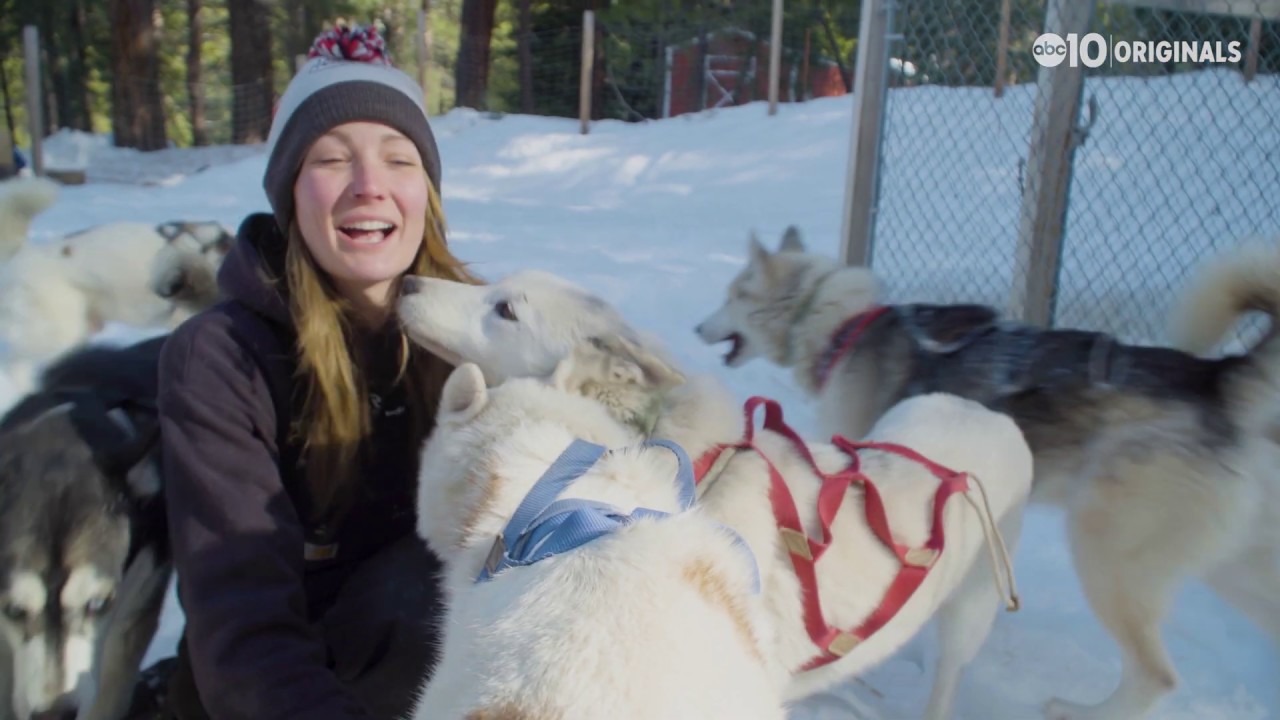 Female Dog-Sled Musher - YouTube