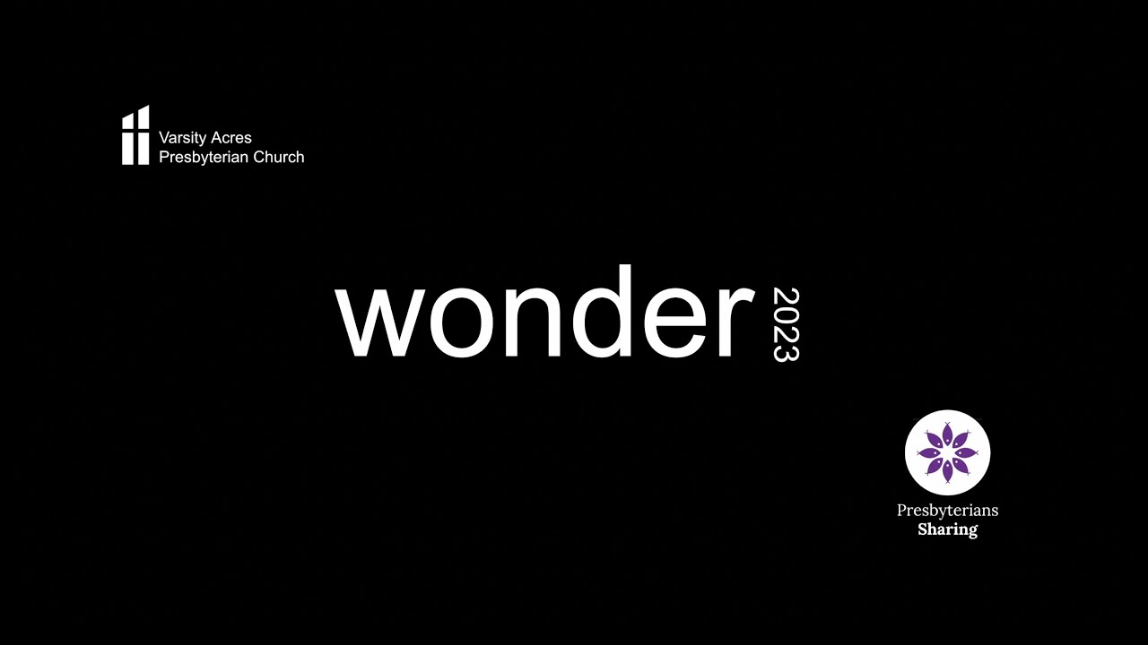 Wonder Campaign - Week 5 Update - YouTube