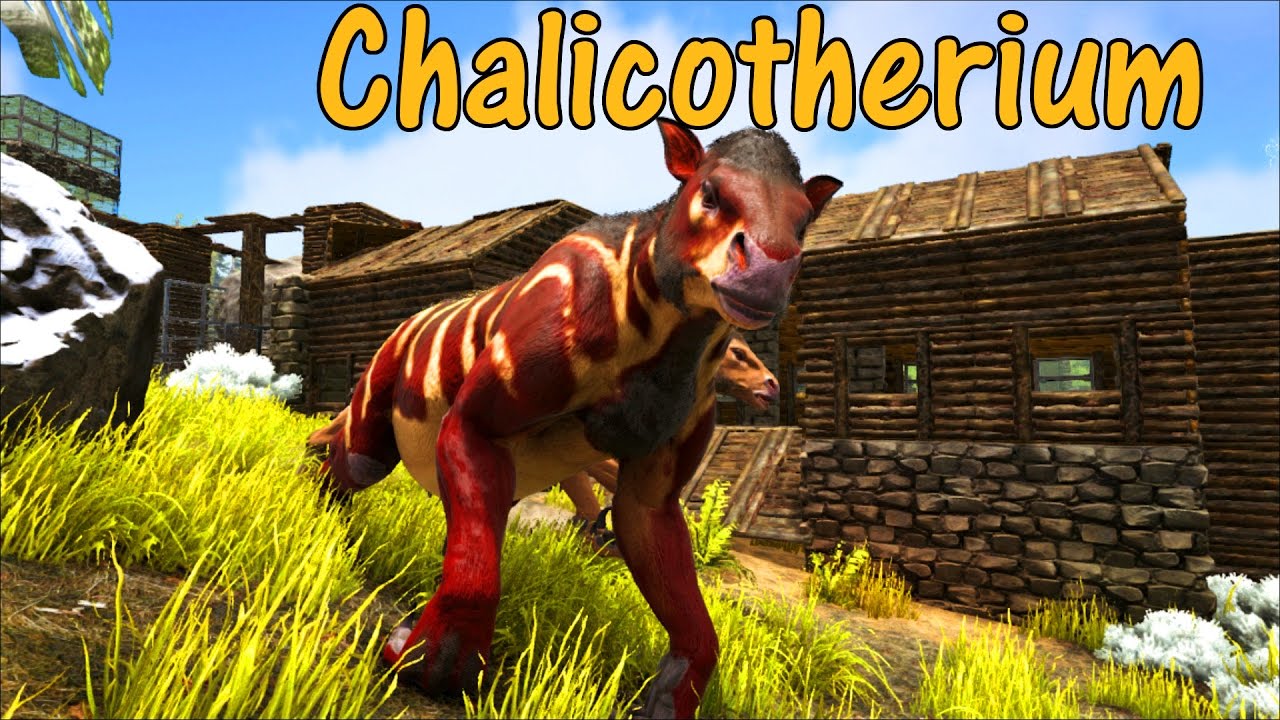 Chalicotherium Educational Special [30] - YouTube