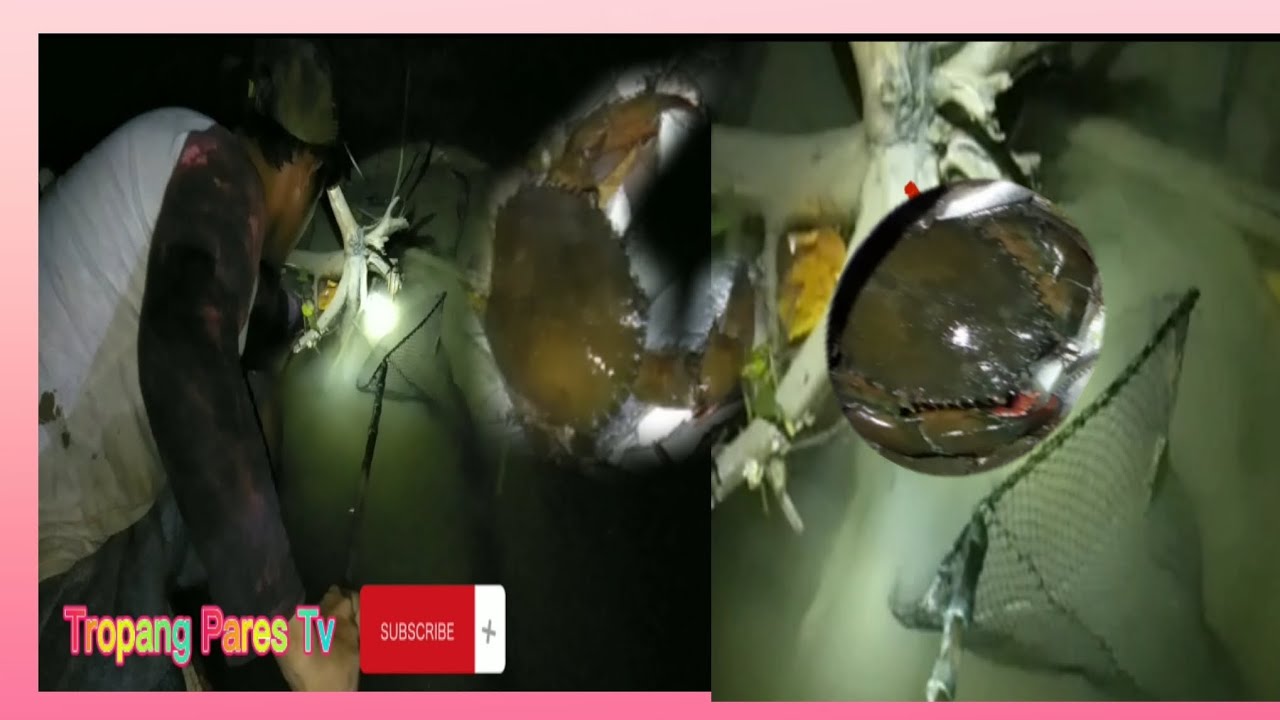 Fishing and crabs adventure part 2 (nangilaw kmi Ng alimango at isda sa ...