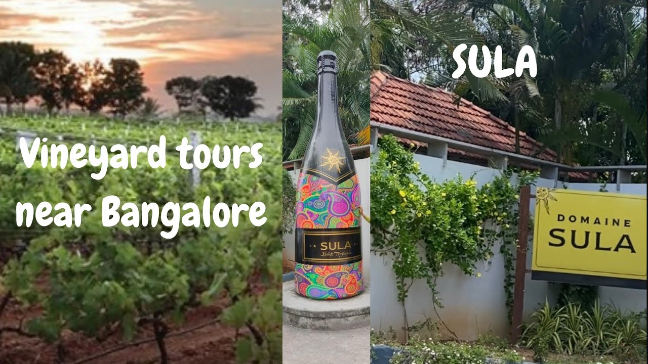 Domaine Sula |Sula vineyards at Channapatna |Vineyards near Bangalore ...