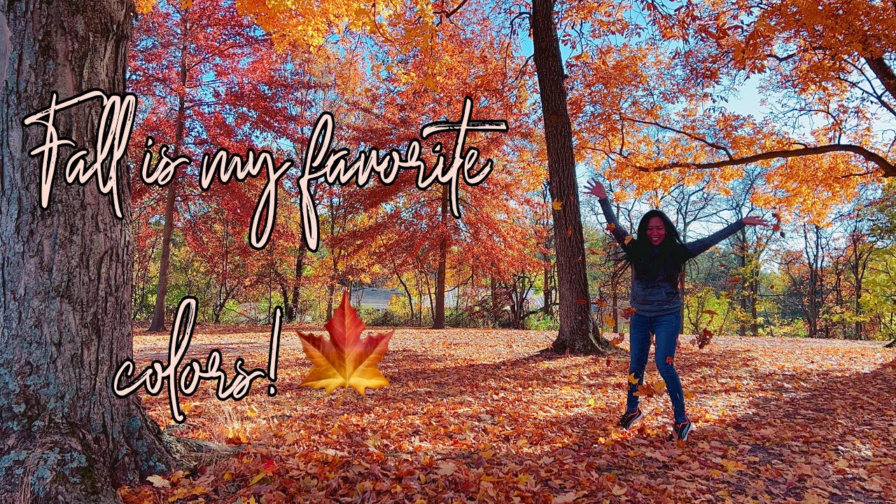 I’m FALL-ing for you | I love fall most of all | Fall drive to see the ...