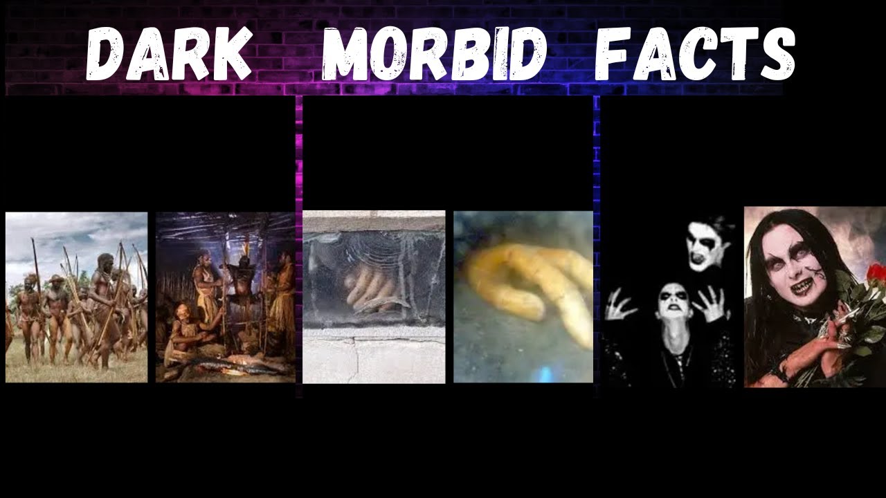 Dark Morbid Facts They Don’t Teach in School - YouTube