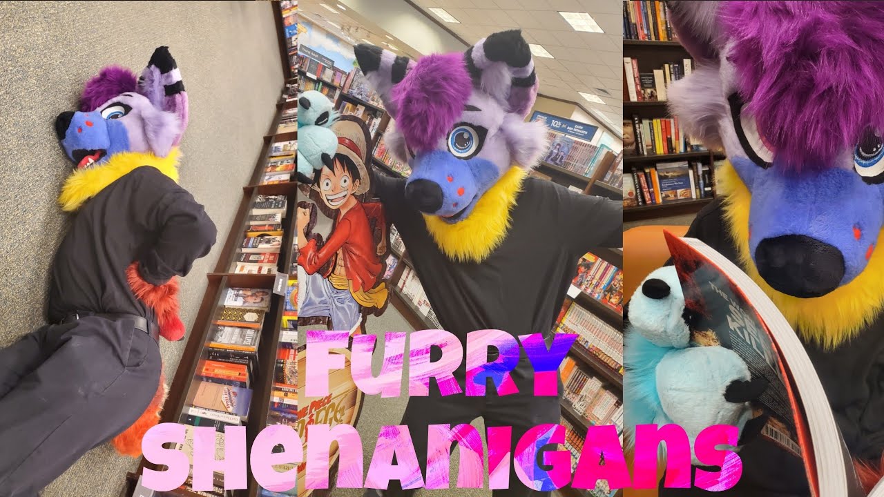 Furry Shenanigans - YouTube