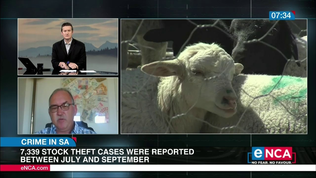 Discussion | Stock theft in SA - YouTube