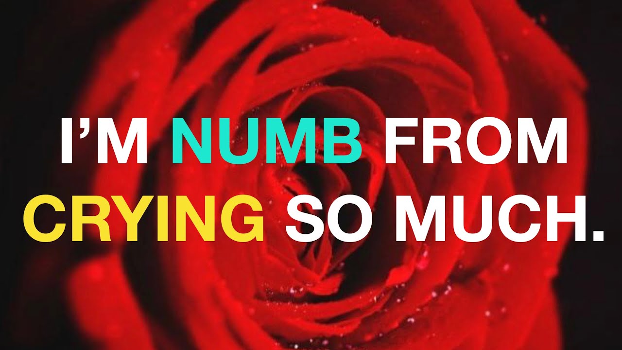 DM to DF Message 💖🌹💕Your Partner Current Feelings💖🌹"I’M NUMB FROM ...