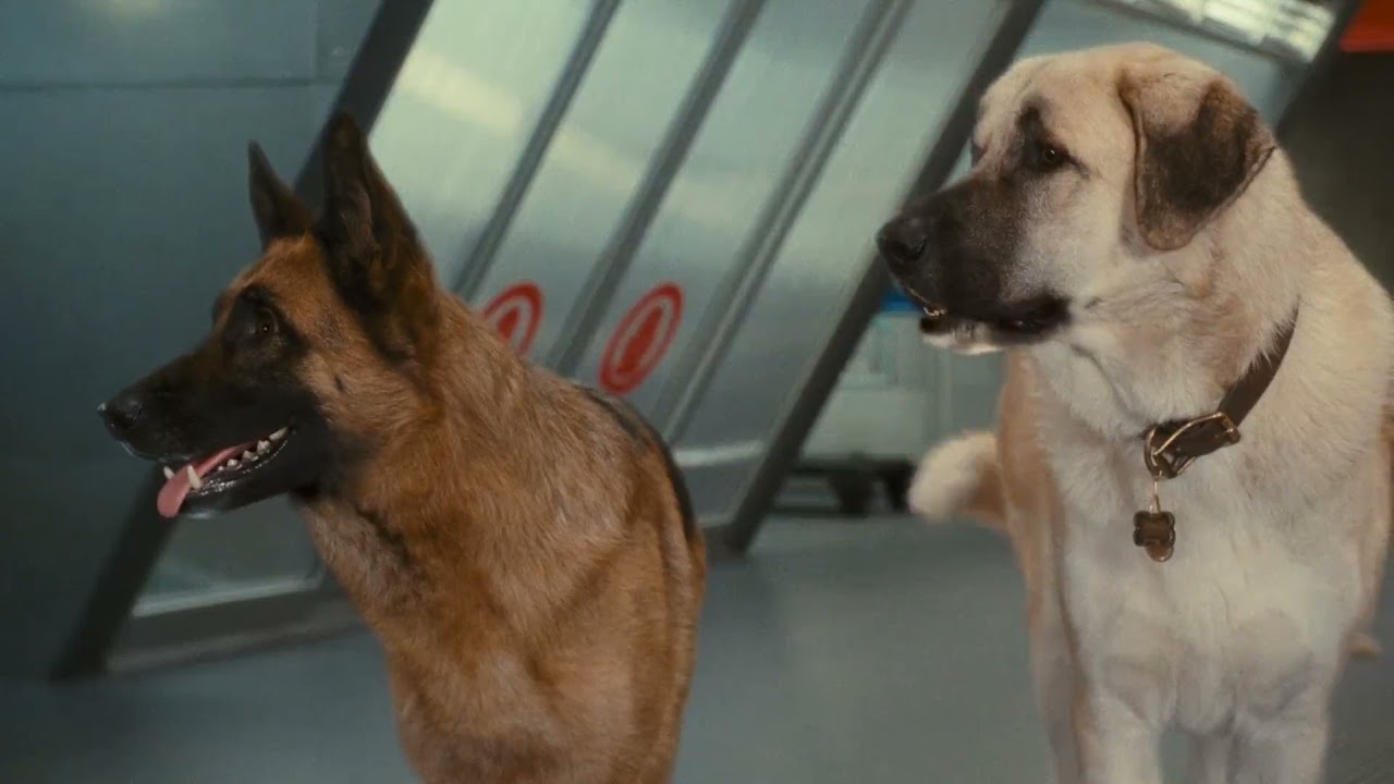 cats & dogs: the revenge of kitty galore (2010) - welcome to dog HQ ...