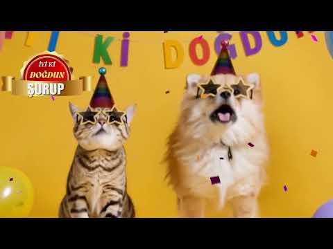 ŞURUP - Doğum Günü Şarkısı! | İsme Özel Evcil Hayvan Doğum Günü Müziği 🐶🐱🐦