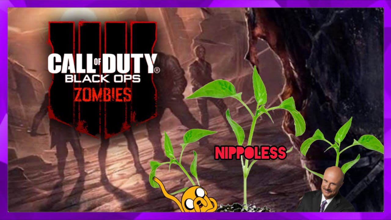 This New Zombie Map is Amazing | BO4 Zombies - YouTube