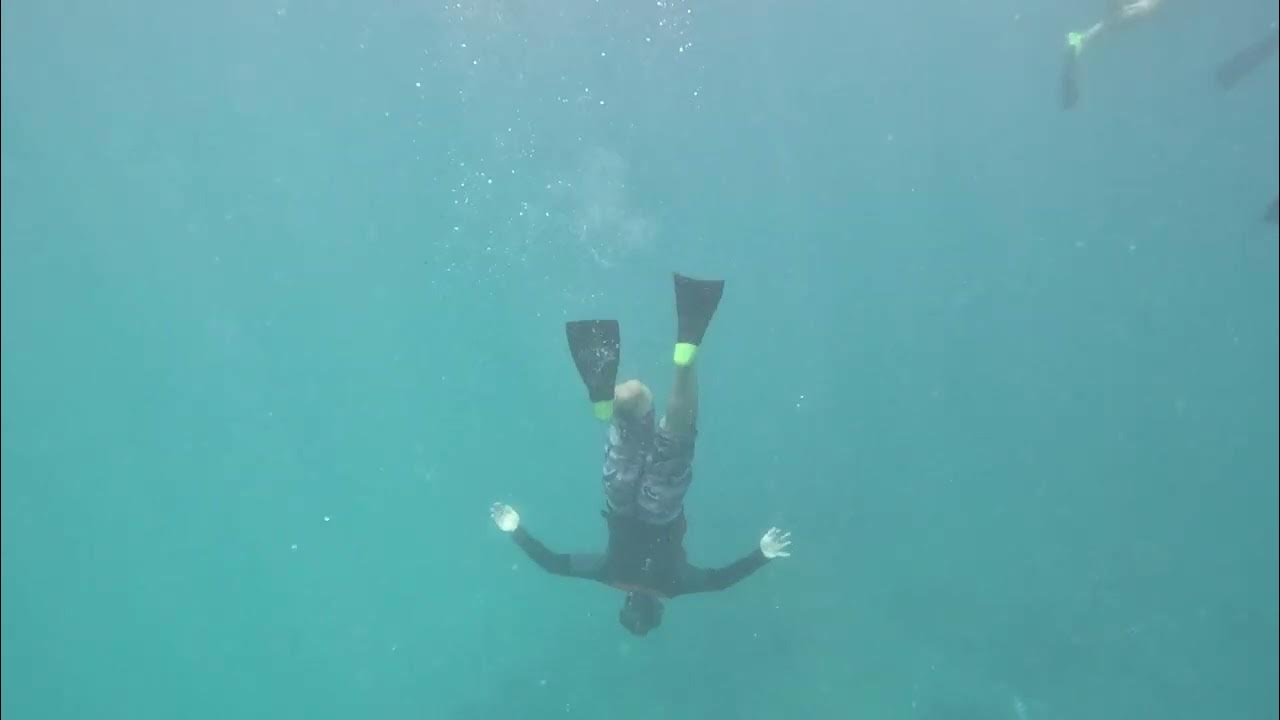Bf learned how to deep dive. #waikiki 🏝🤙 - YouTube