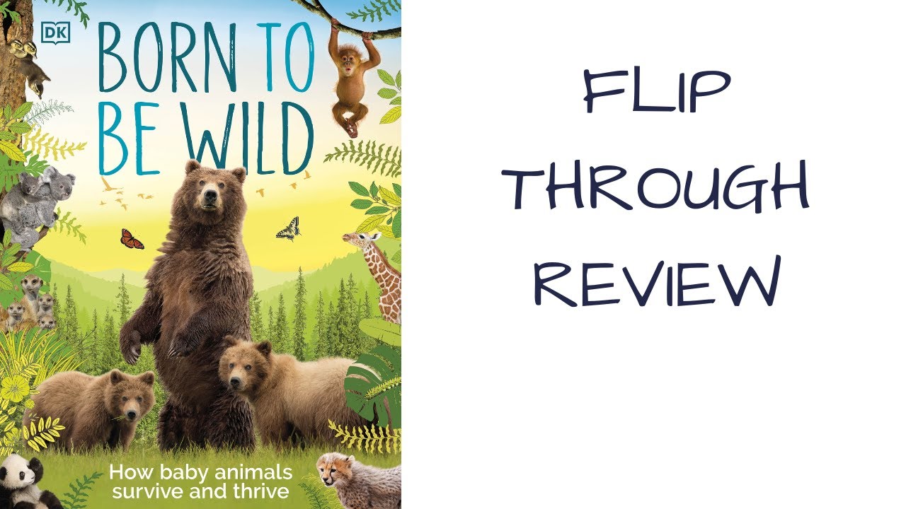 Born to be Wild: How Baby Animals Survive and Thrive - YouTube