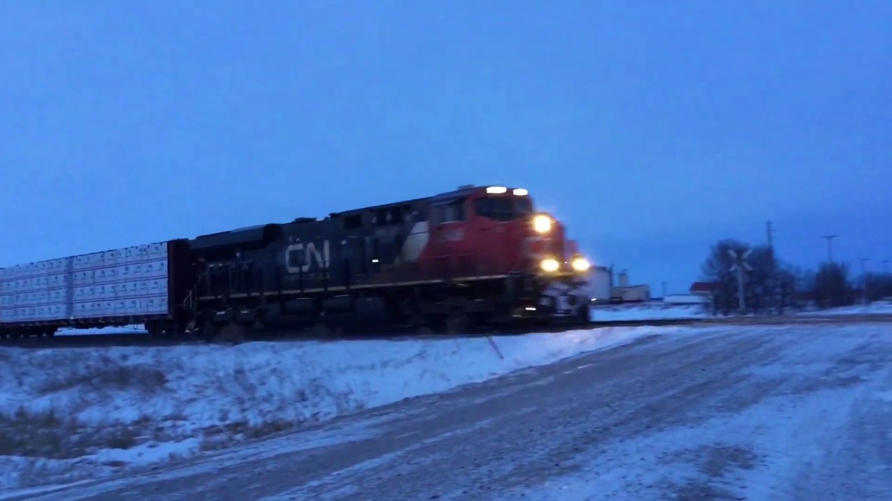 Fast CN Trains in The Manitoba Prairies Around Elie, MB. (01/12/2020 ...