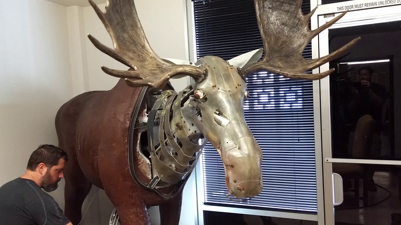 Animatronic Moose Test - YouTube