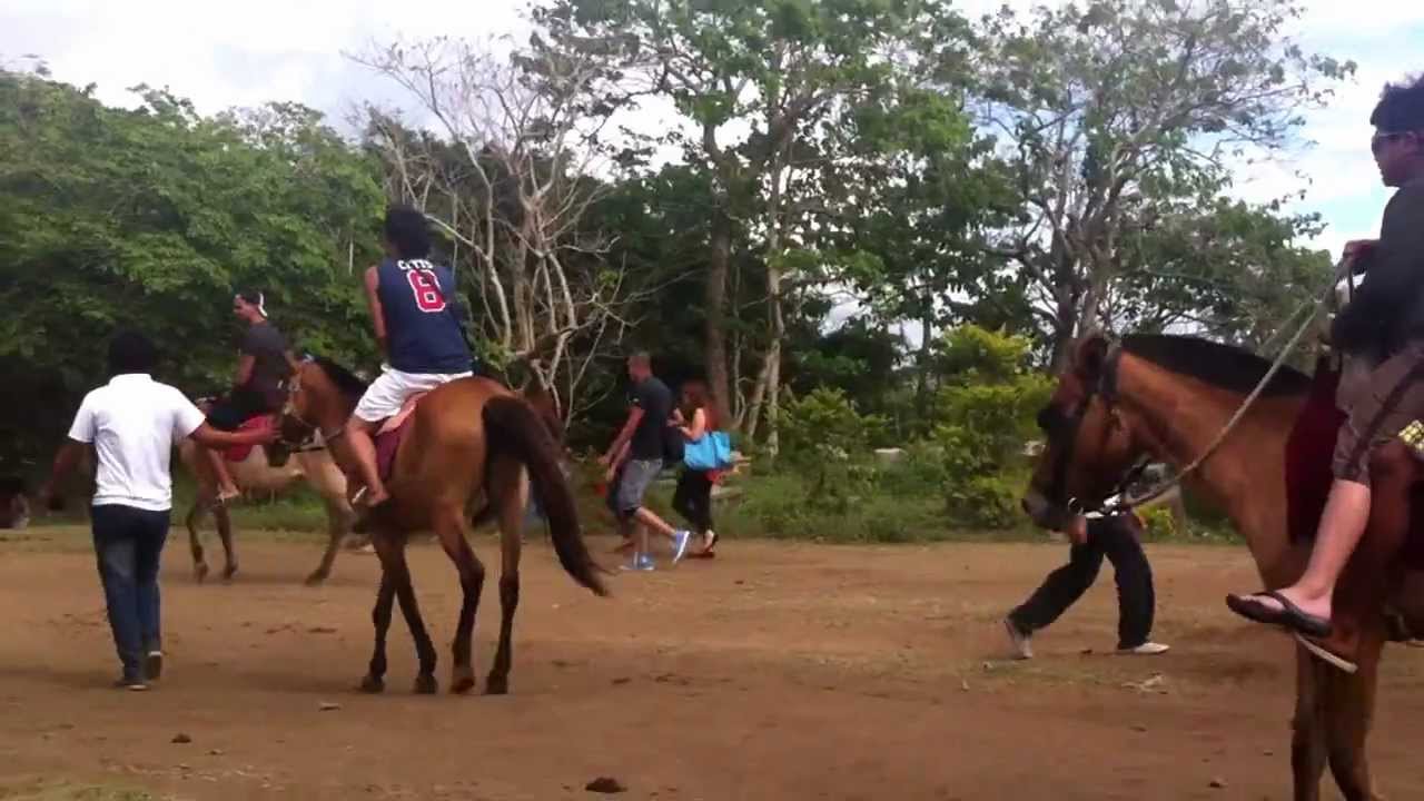 Horse back riding in picnic grove tagaytay - YouTube