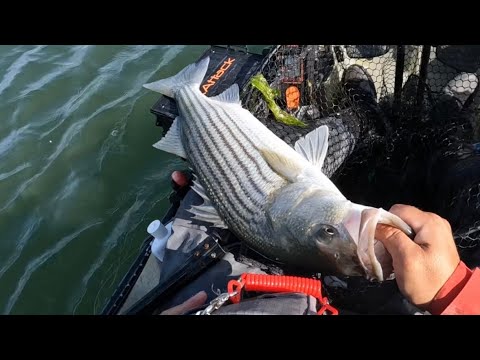 Snap jigging bucktails for striped bass ! - YouTube