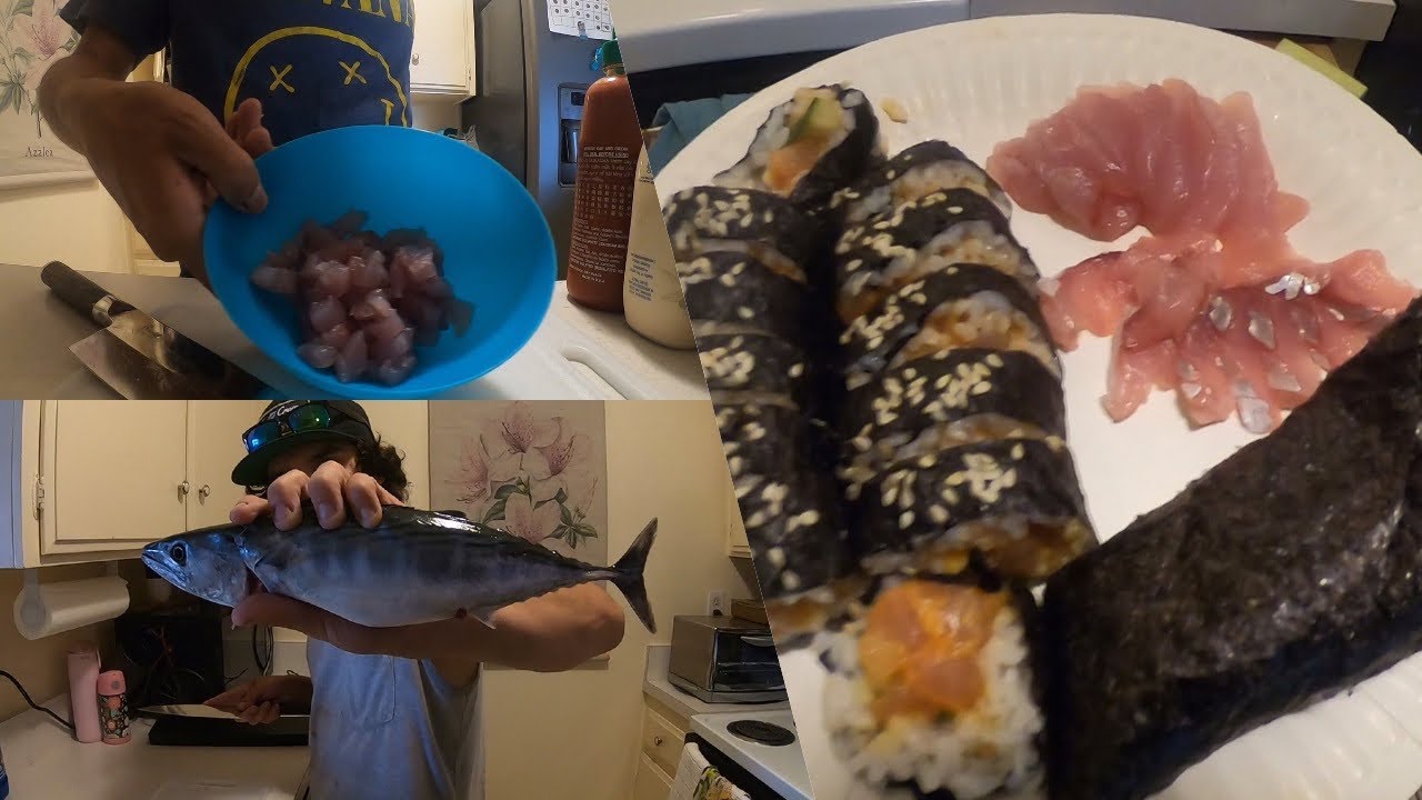 Bonito & Mackerel catch clean and sashimi/sushi||Pier and jetty fishing ...