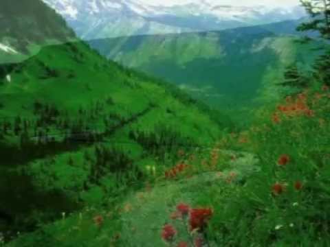 Barış Manço-Ham meyveyi kopardılar dalından