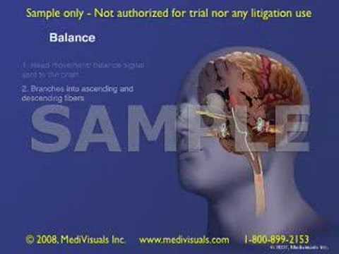 Neural Pathways: 3D Medical Animation - YouTube