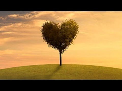 Arlene Bailey: Let's Stay in Love (1987) - YouTube