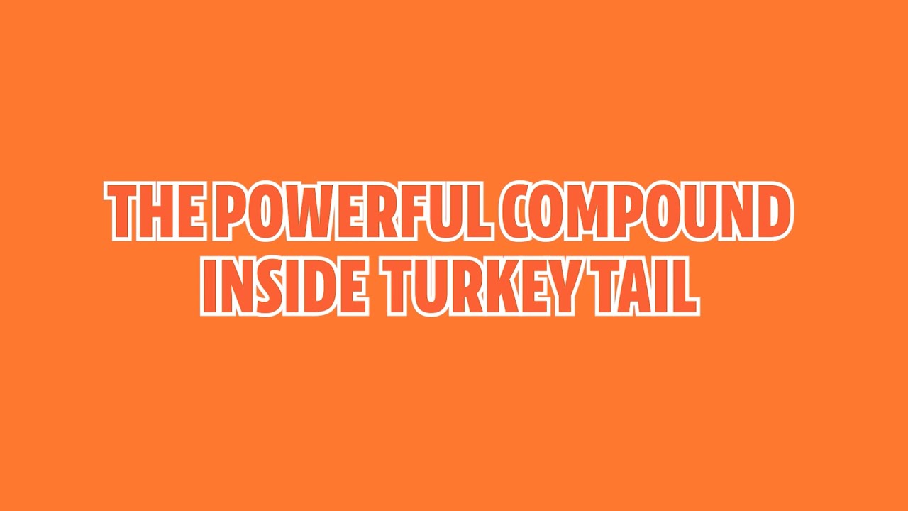 What’s Inside Turkey Tail? The Compounds That Supercharge Your Immune ...
