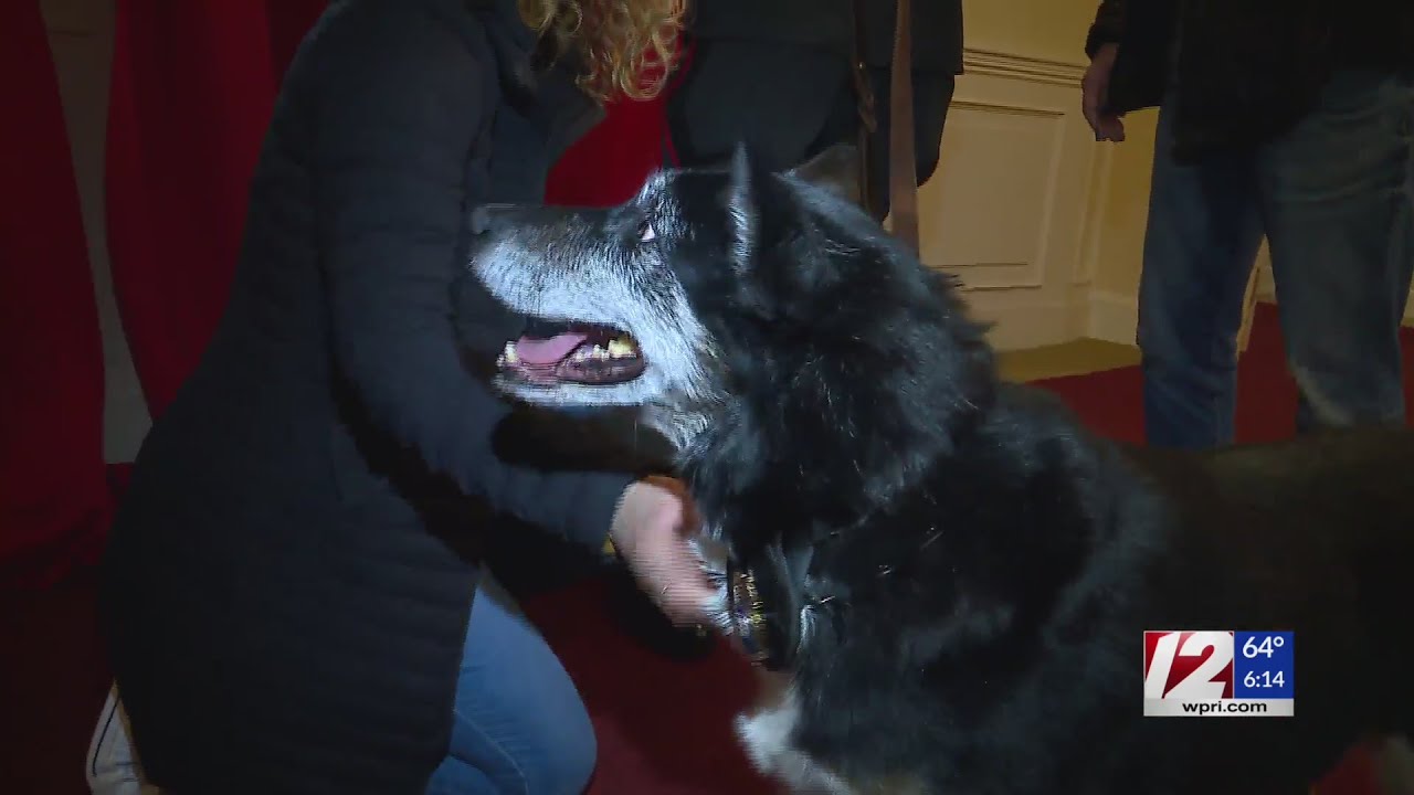 Remembering Ruby: RI State Police K-9 redefines the word ‘hero’ - YouTube