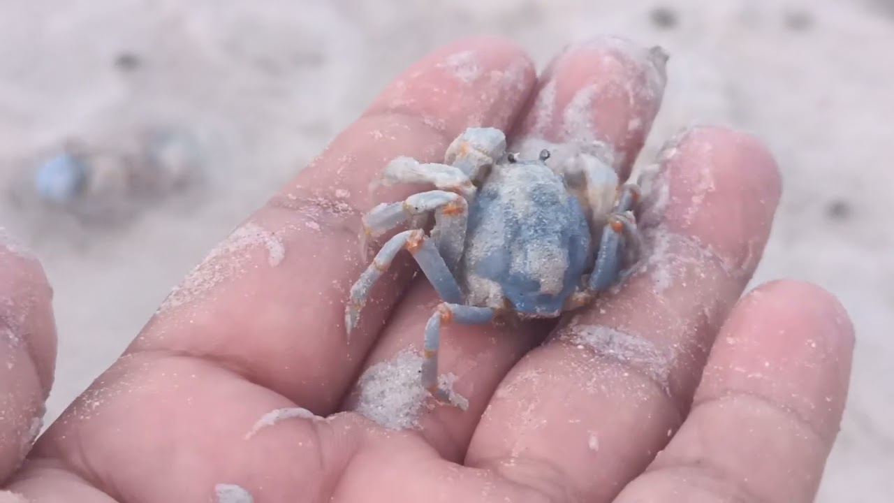 part 2 getting swake - YouTube